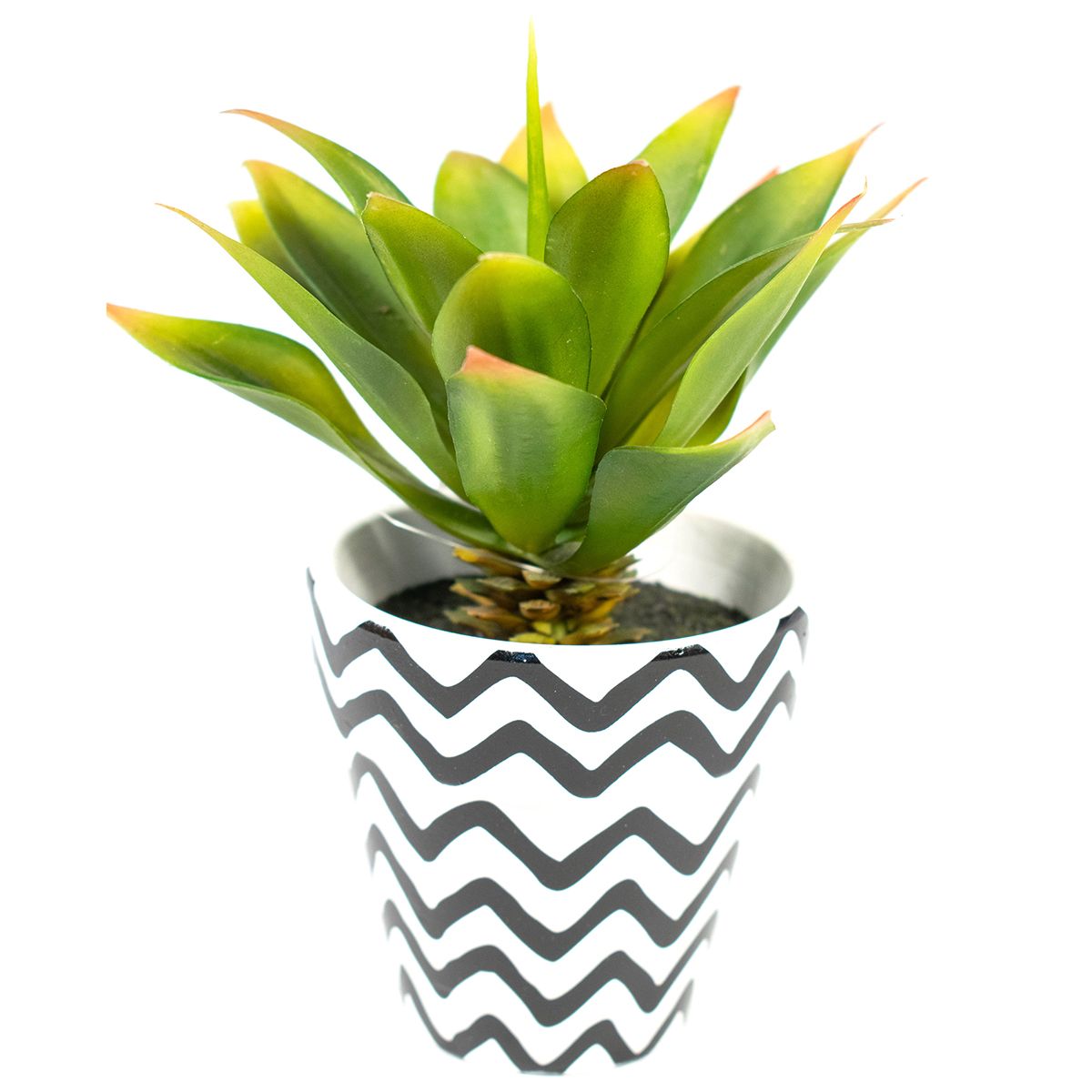 Agave en maceta con ondas - IVSA - Venta mayorista de objetos de ...