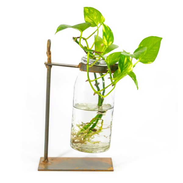 Florero y jarrones - IVSA - Venta de objetos de decoración al por mayor